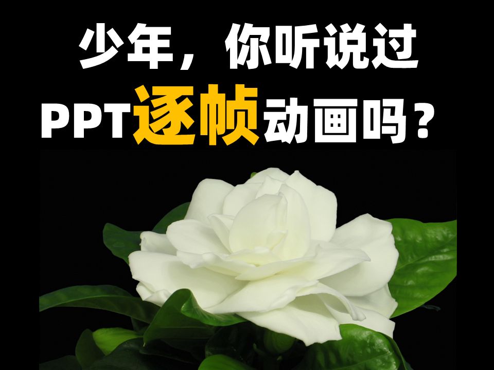 ppt中的逐帧动画怎么做