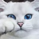 纸巾剪影