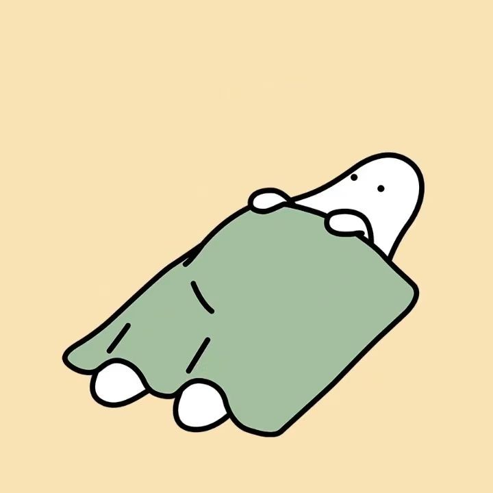揽月停云 