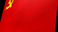红旗党旗飘舞飘动动画 带通道标清视频