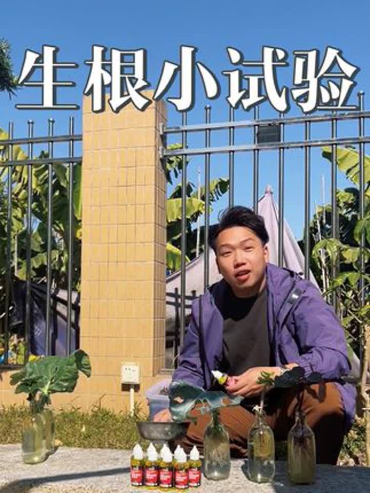 给小朋友科普种植,也是一种亲子乐趣