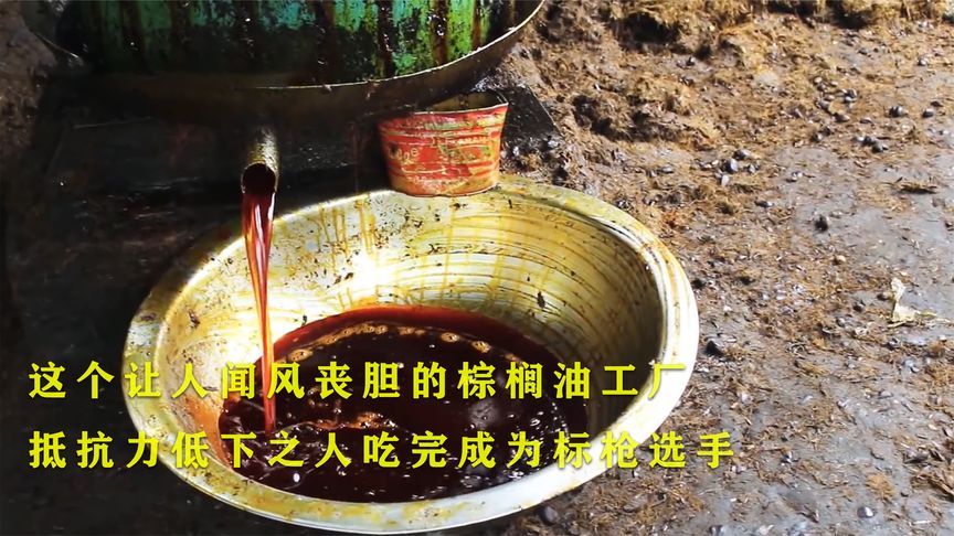 干净又卫生的印度棕榈果榨油工厂,抵抗力低的人吃了直接打标枪。