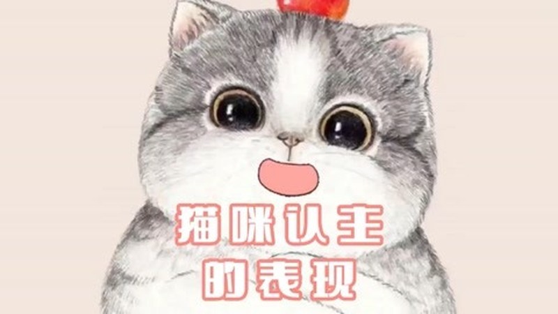 猫咪认主的表现,你知道多少呢