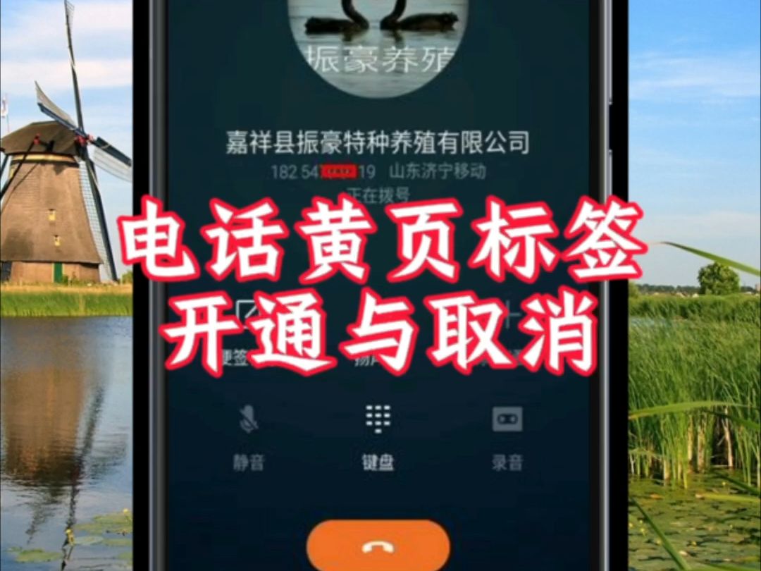 固定电话号码被错误标记为公司名称,如何清除?