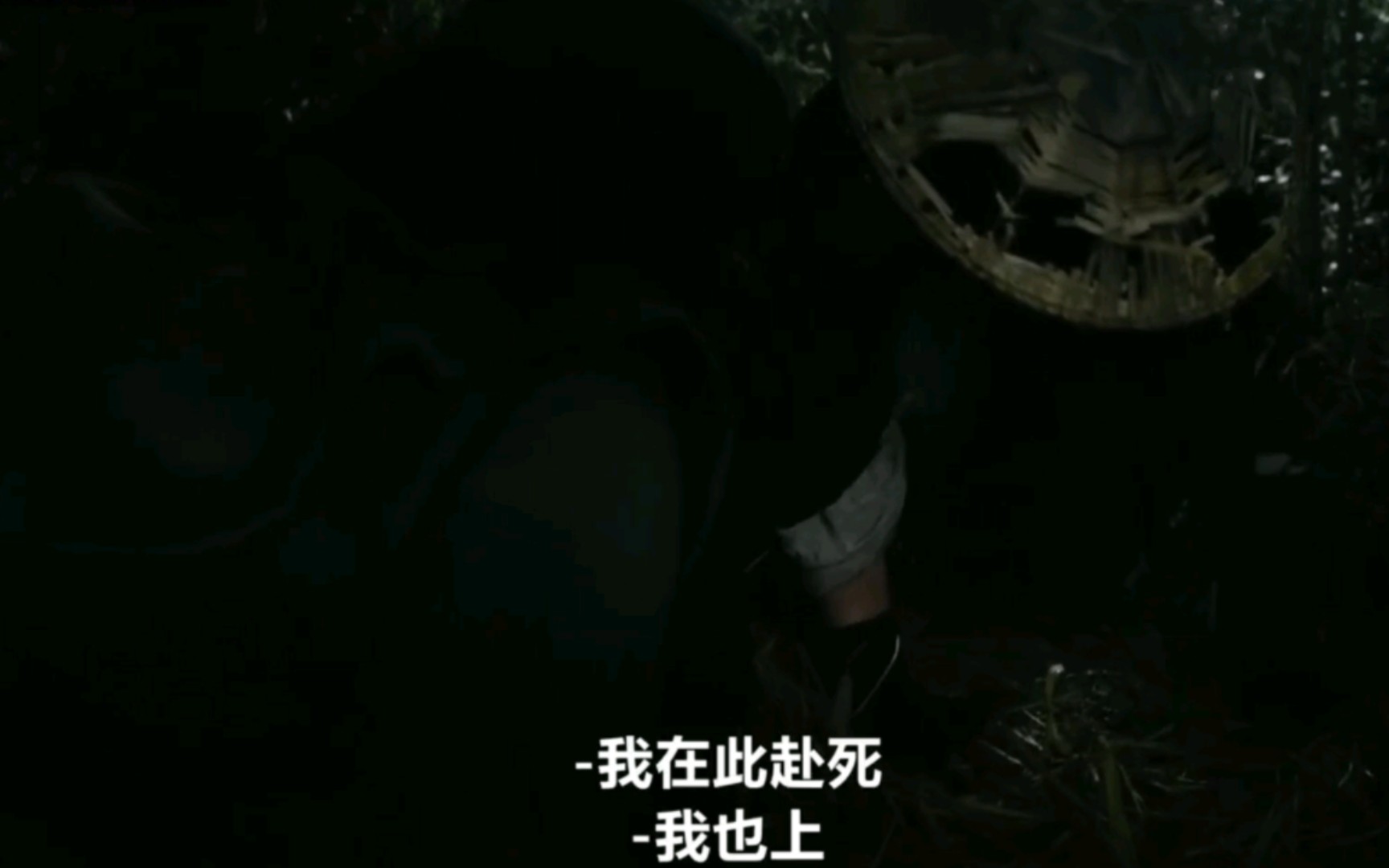 服部家众的确都武艺高超,可惜却正中今川家埋伏,行动队只有服部半藏...