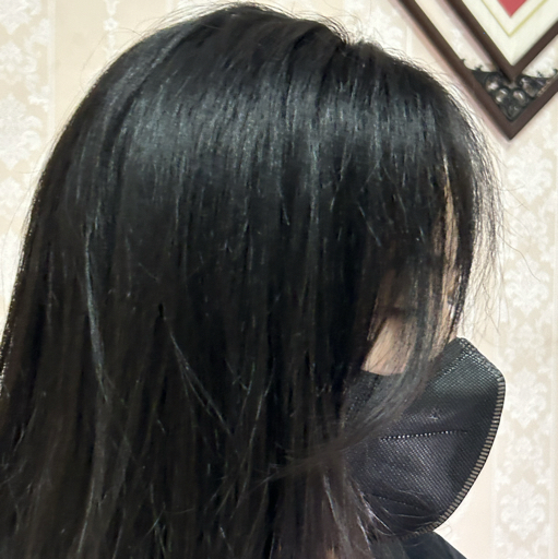 凡银菌 
