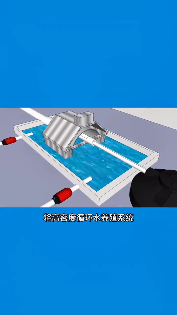 是一种新型的生态循环农业技术,将高密度循环水养殖系统 与无土栽培 ...