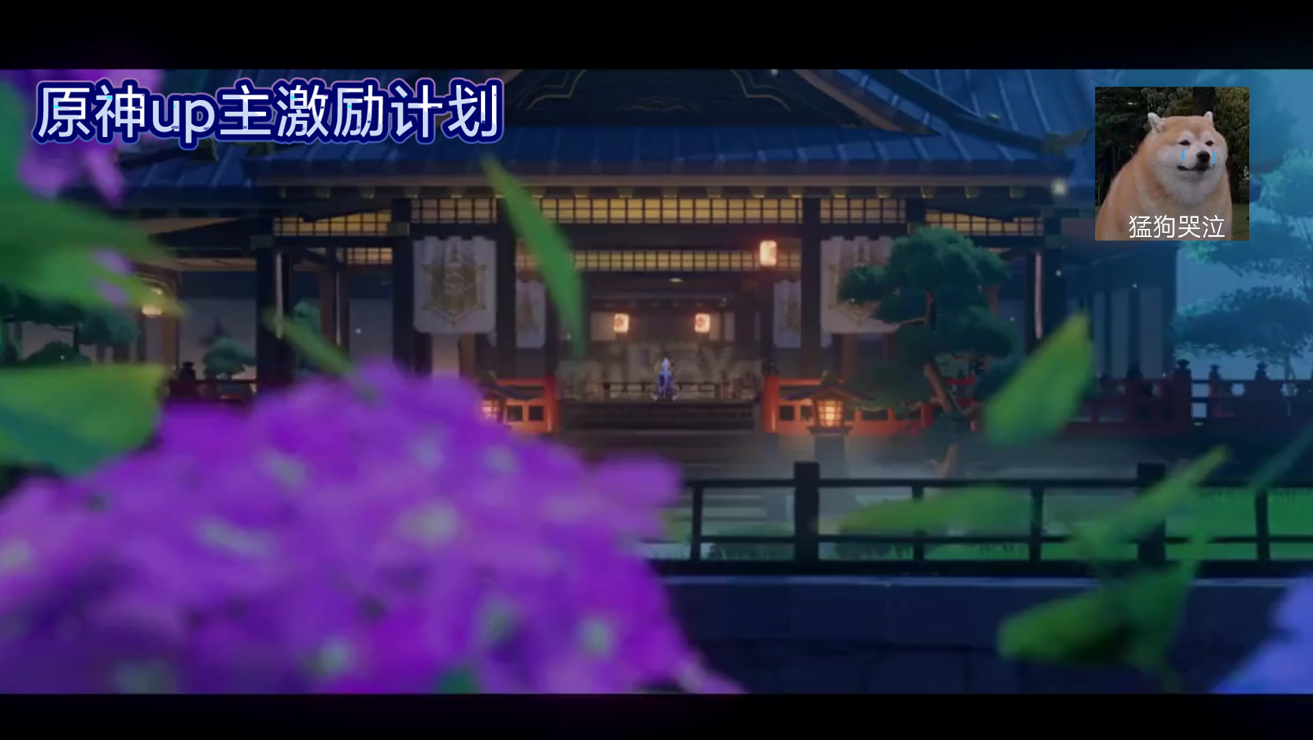 原神up主激励计划:稻妻副本 "借景之馆”的简单开启办法