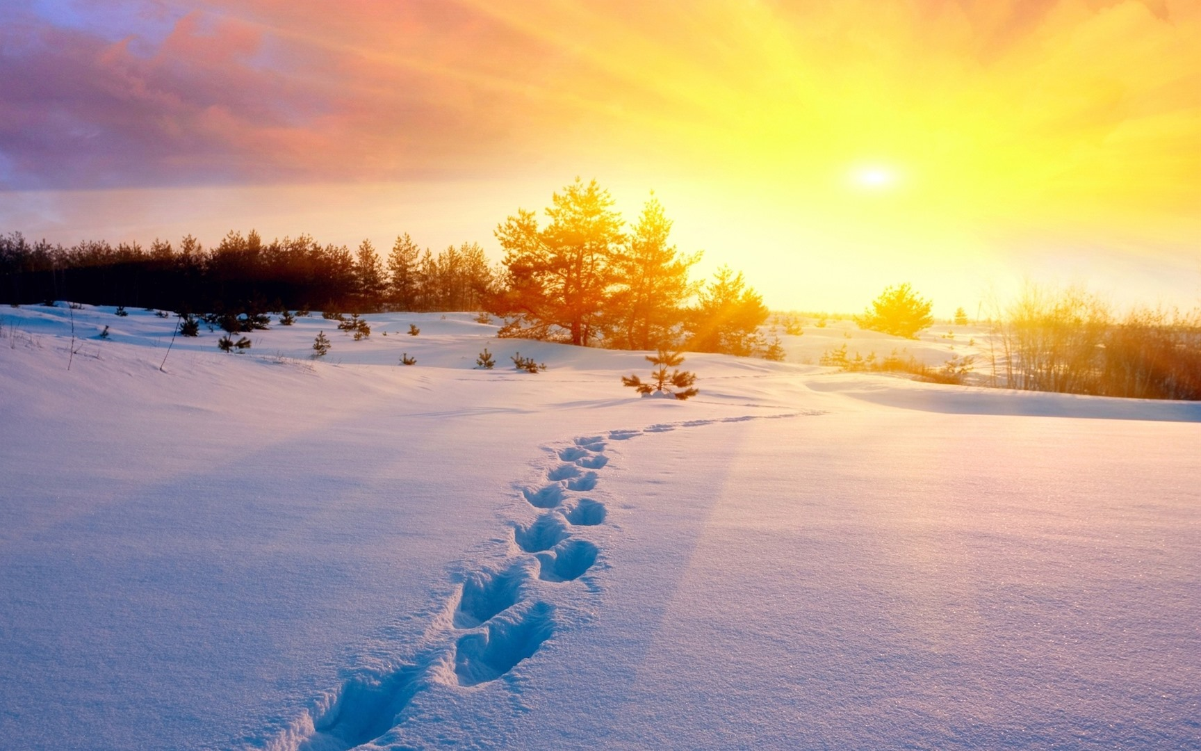 冬至又到了,愿你的冬季洒满阳光!轻音乐《冬之歌》