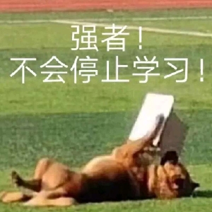 西梅很努力 