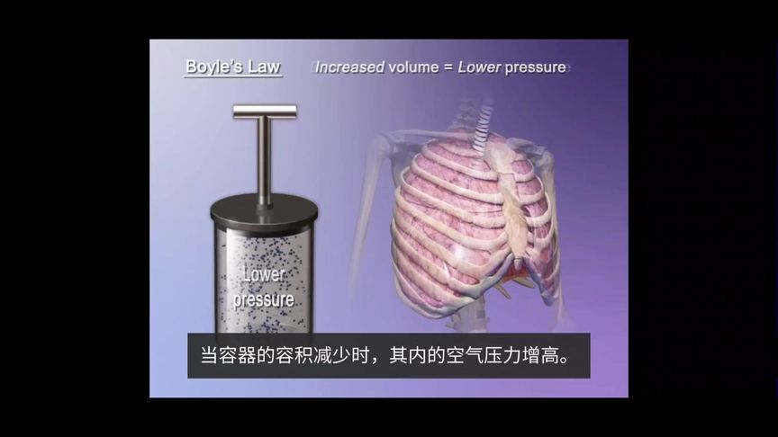 我们是如何呼吸的