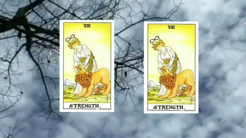塔罗牌教学学习培训课程力量牌
