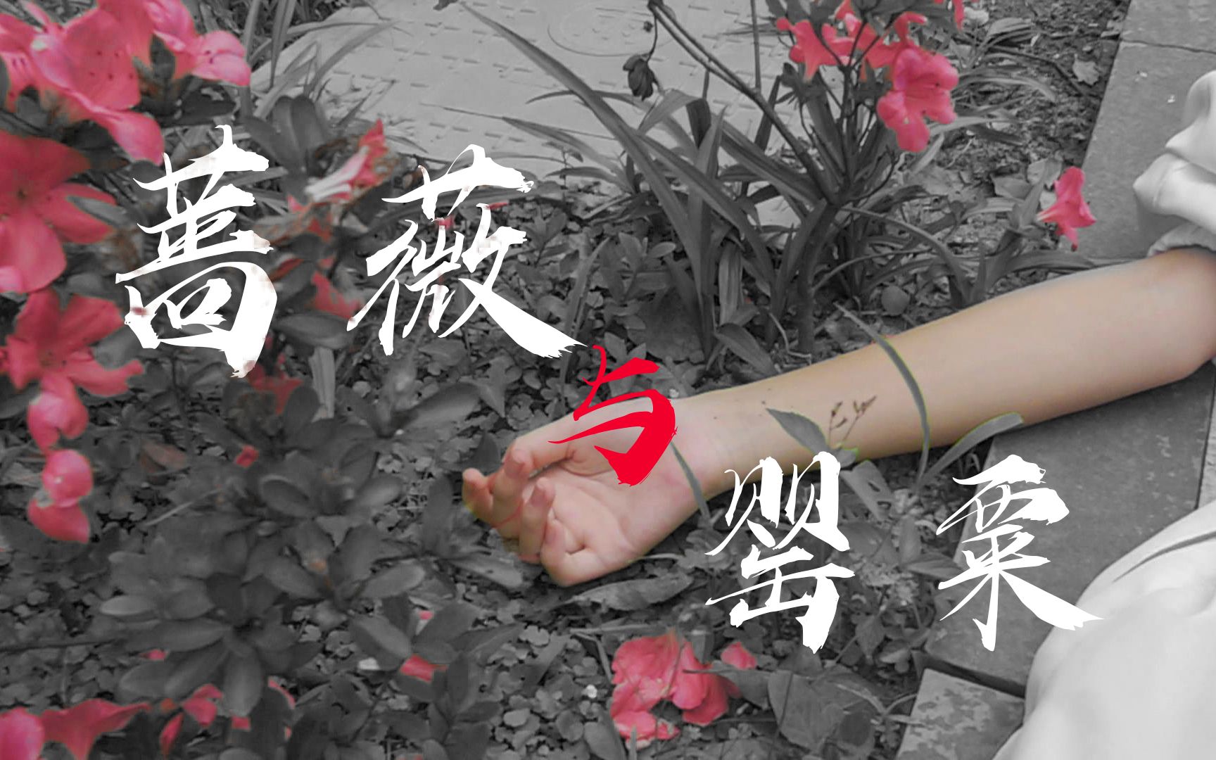 《蔷薇与罂粟》禁毒宣传片 桐乡高级中学拍摄 TGer 桐高