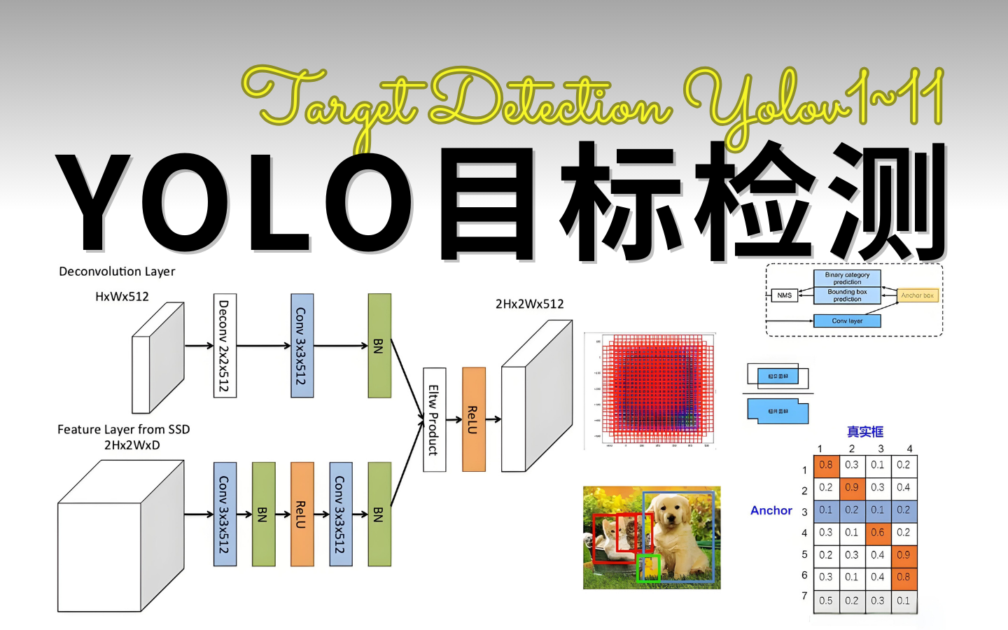 模型实战:基于深度学习的目标检测算法全面解析,从YOLOv1~v11,8小时...