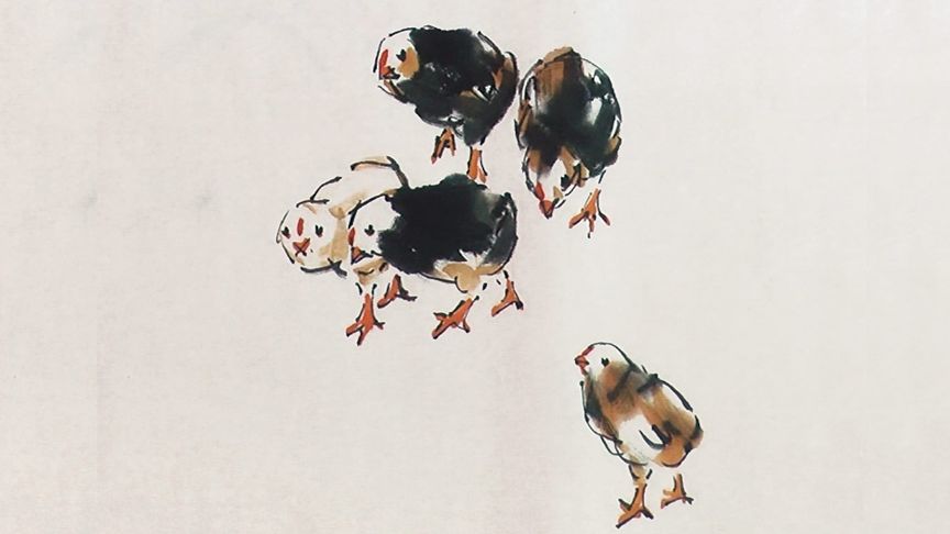名家绘画教学,雏鸡的画法,看过后,可以创作一副母鸡教子了!