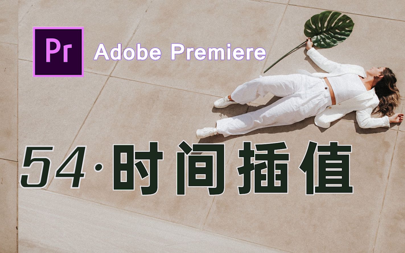 ...教程】第54课,时间插值详解,帧采样,帧混合,光流法,到底是什么意思?