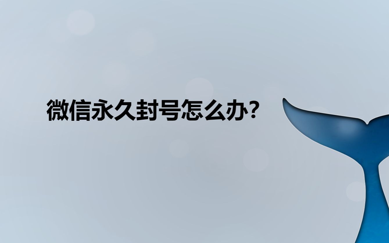 微信永久封号显示违反法律法规怎么办?