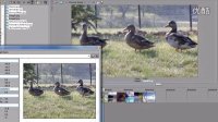 Sony Vegas PRO 11 大师班教程 9