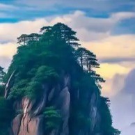 在韩国吃草料 