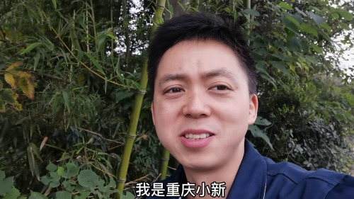 今年返乡过年计划,看来是不可能了,现在只能准备就地过年了