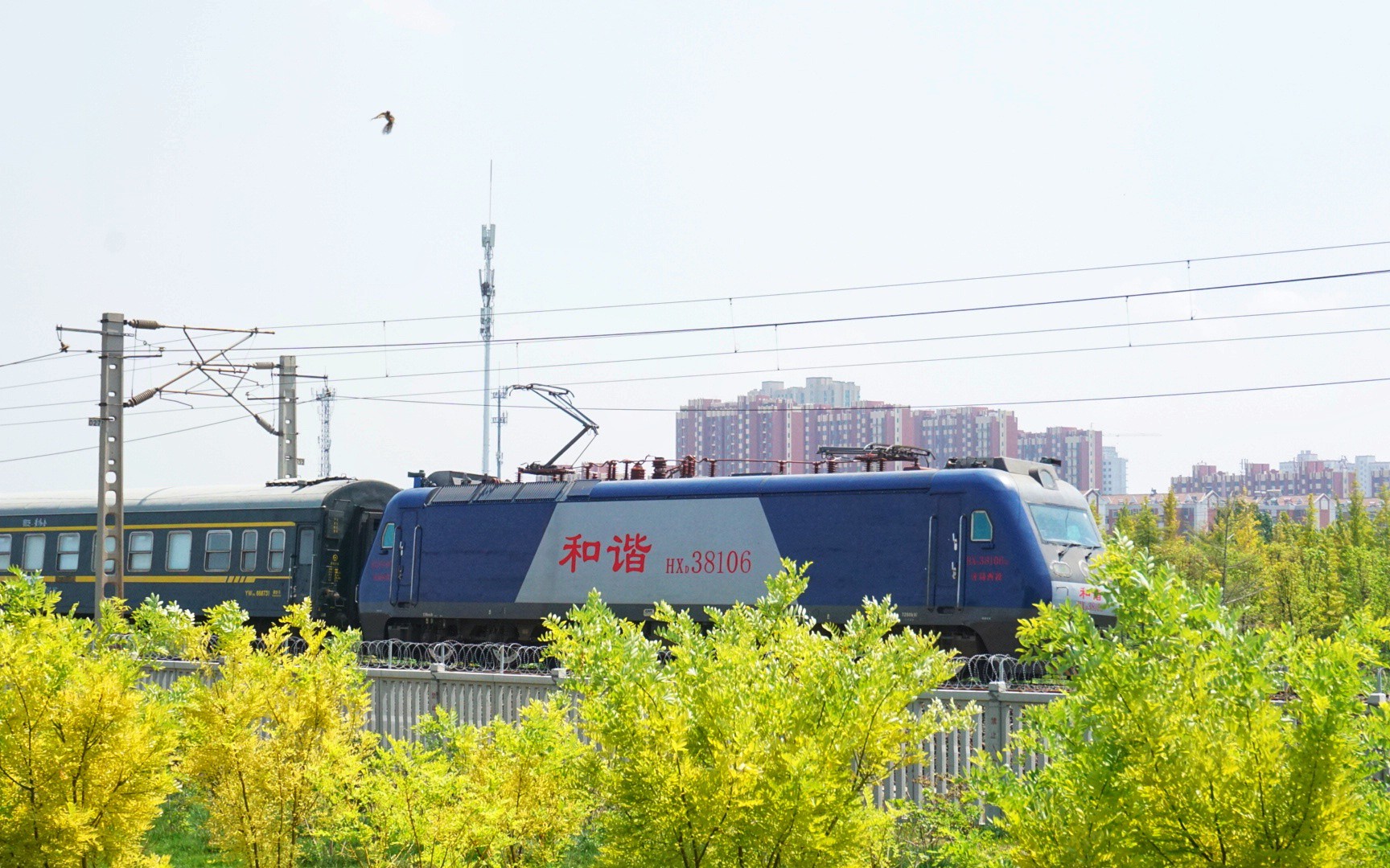【中国铁路】胶济线上的旅游车