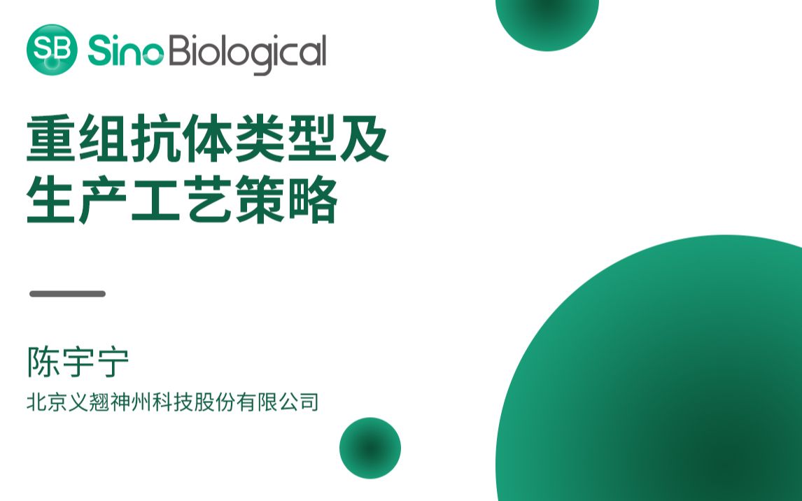重组抗体类型及生产工艺策略