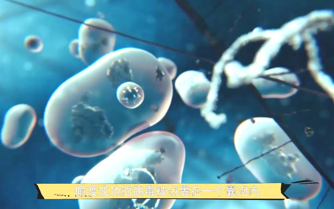 把人类细胞放大几万倍来看,没想到它们与病毒的战斗,那么激烈!