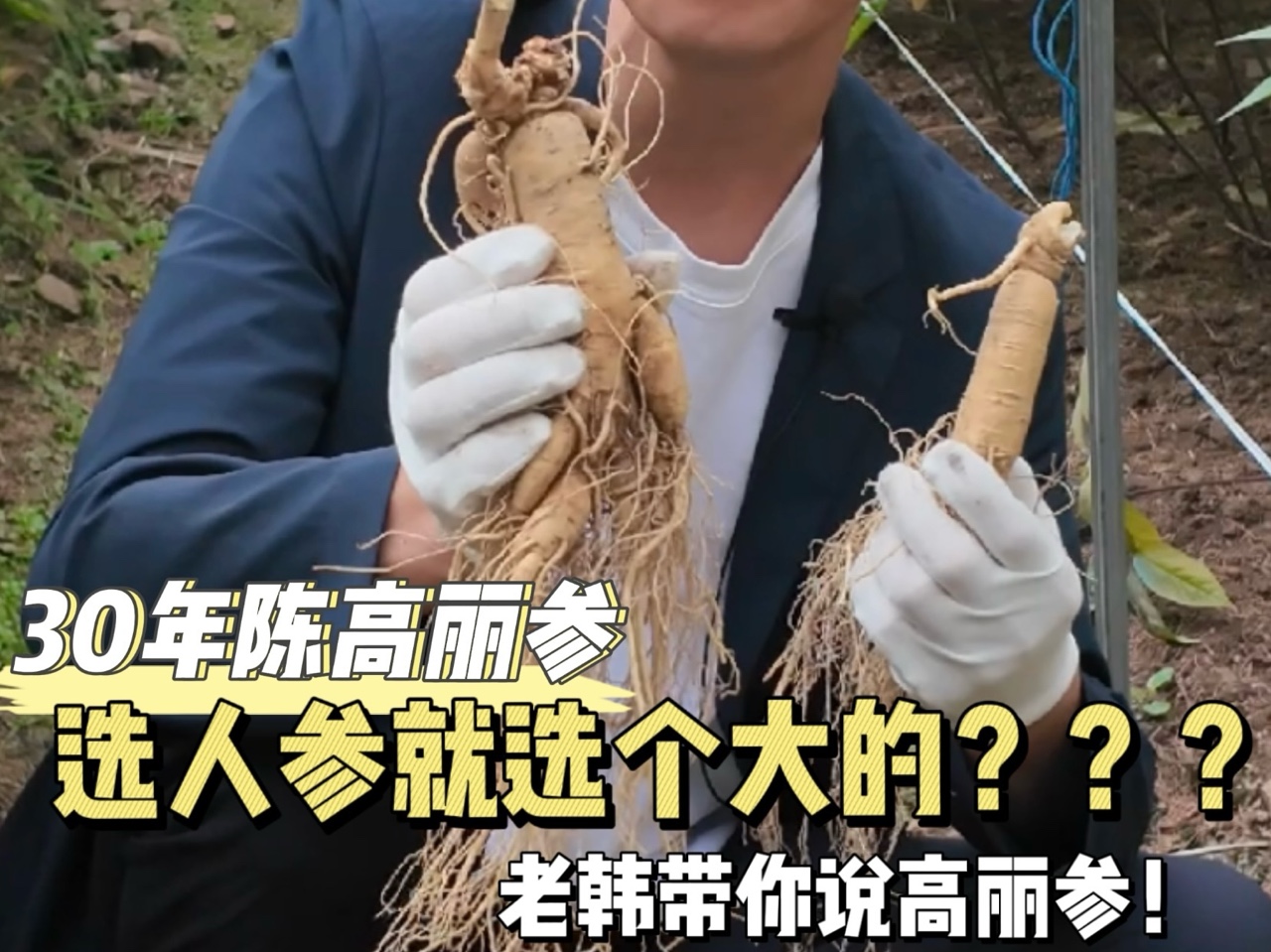 ...认为越大的人参才是越好的。然而,事实并非如此。人参的价值不能...