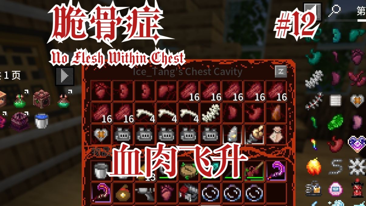 血肉苦弱,机械飞升?不,血肉飞升【我的世界】脆骨症 Ep.12_我的世界