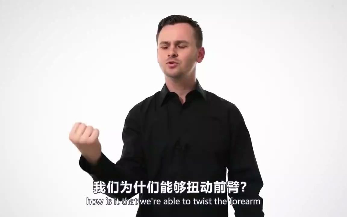 艺用人体解剖课程——人体的六个滑膜关节