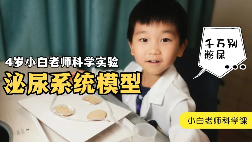 尿是怎么产生?4岁萌娃动手做泌尿系统模型,开箱科学实验包!
