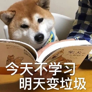 村头霸王龙 