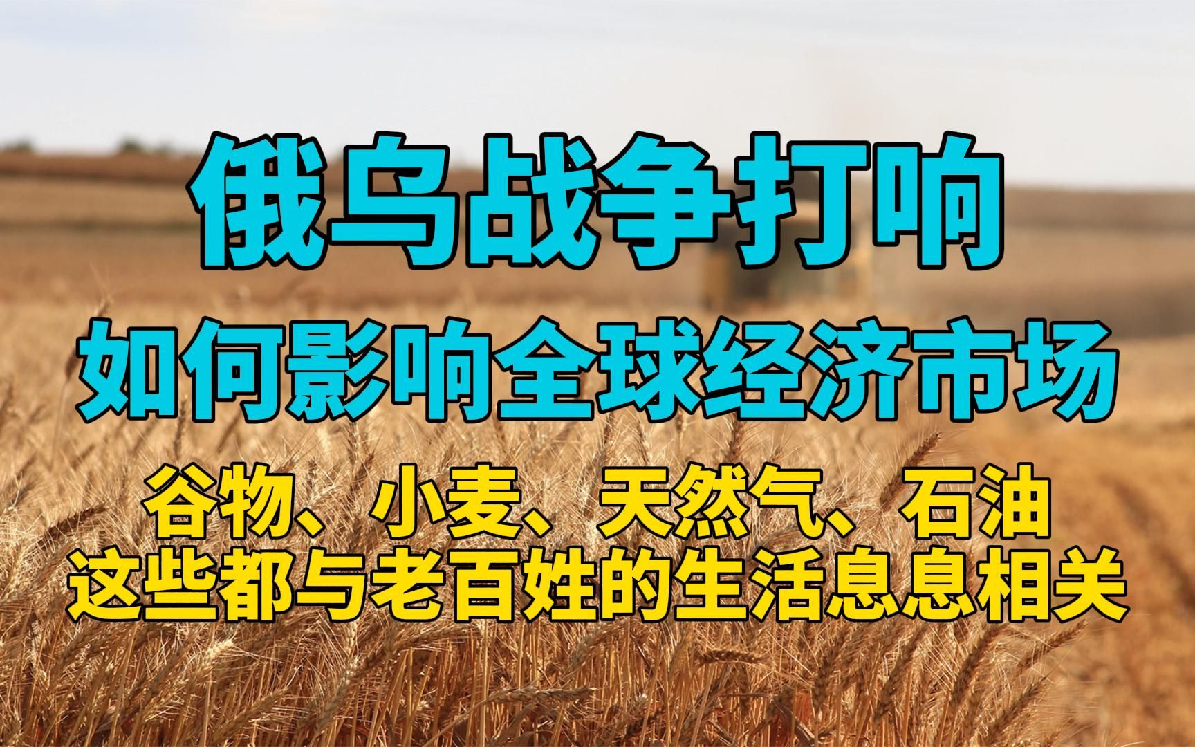 俄乌战争正式打响,如何影响全球经济市场,谷物、小麦、天然气、石油...