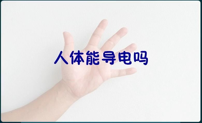 冀人版小学科学四年级上册13、导体和绝缘体-2