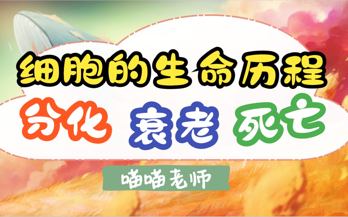 细胞的分化 衰老和死亡 | 知识【高中生物必修1】