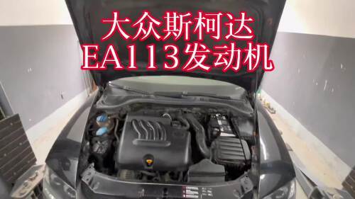 大众斯柯达EA113发动机怠速抖动方向盘震手尾气难闻合肥大众斯柯达...