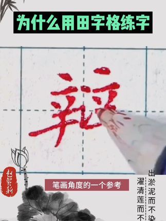 为什么用田字格练字#写字是一种生活 #练字 #硬笔楷书 @抖音小助手