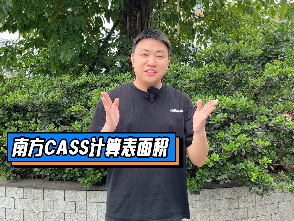 CASS软件如何计算表面积