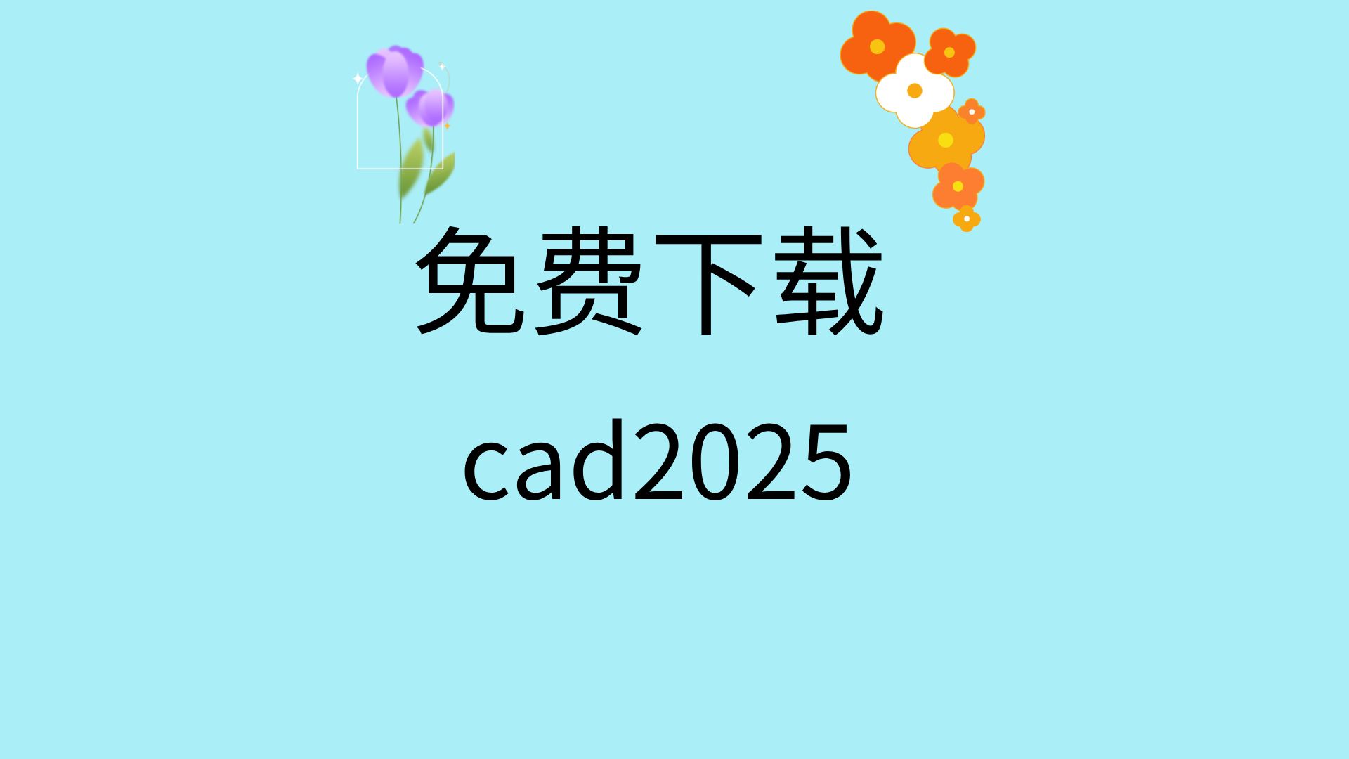 cad2025安装教程怎么激活cad2025下载教程cad2025破解补丁