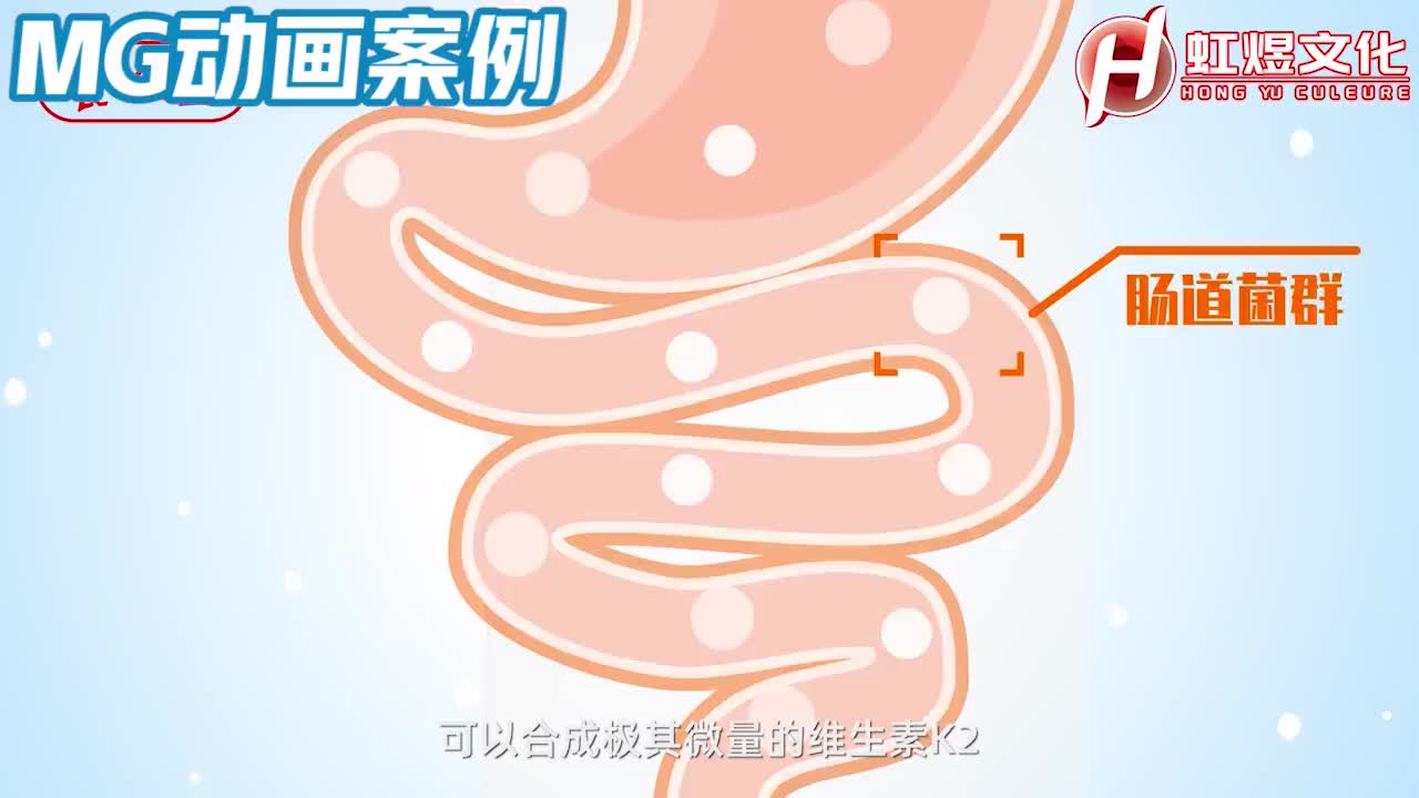 【虹煜文化】浙江宣传片制作,高清宣传片拍摄,3d动画制作公司