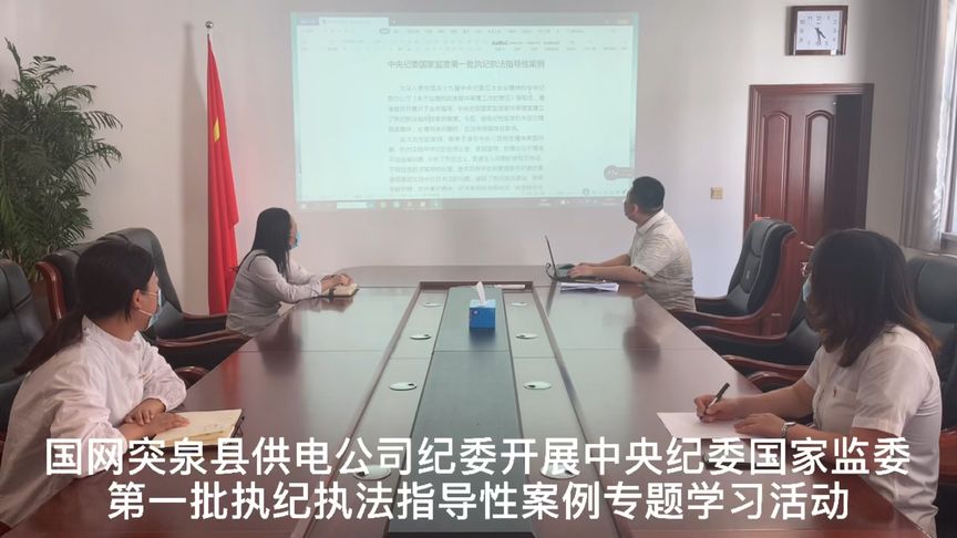 公司开展中央纪委国家监委第一批执纪执法指导性案例专题学习活动