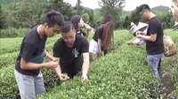 福建农林大学金山学院学生到我区开展社会实践活动(建阳电视台建阳...
