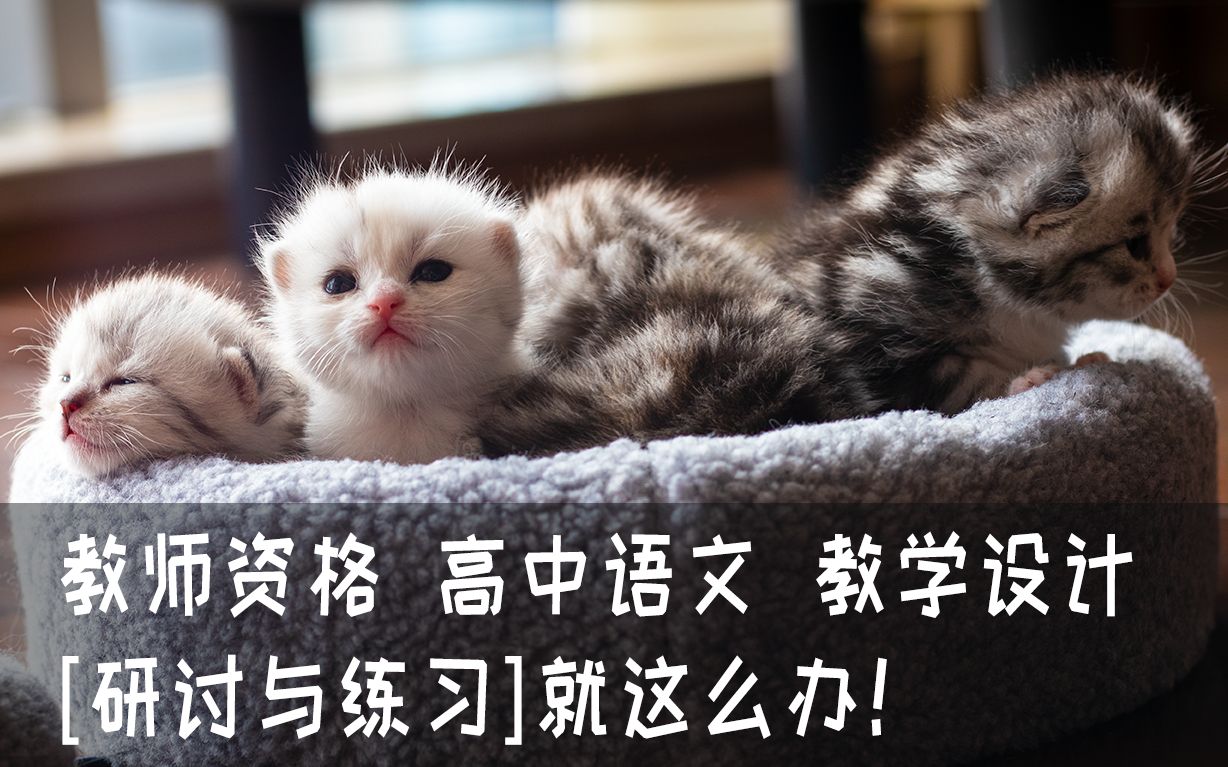 教资科目三教学设计高中语文【研讨与练习】片段教学教案撰写方法-...