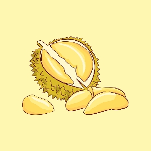 喊我吃榴莲 