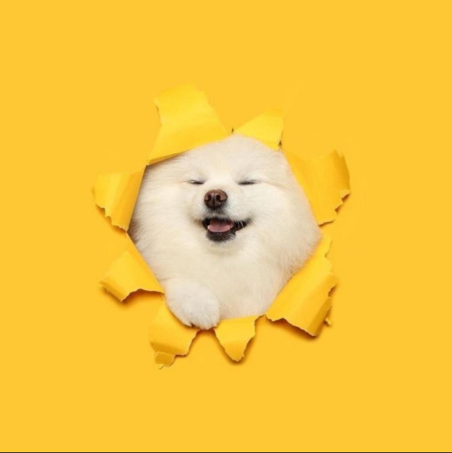 ohyaohoo 