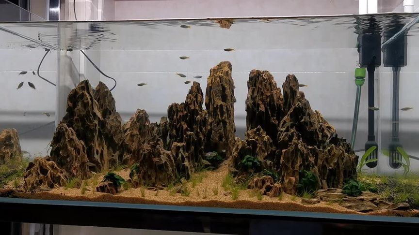 新搞的松皮石景水草缸,大家看看OK不?#松皮石造景
