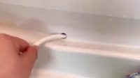 好物:冰箱结冰积异味发臭是因为冰箱排水管堵了,用这个疏通器就能解决