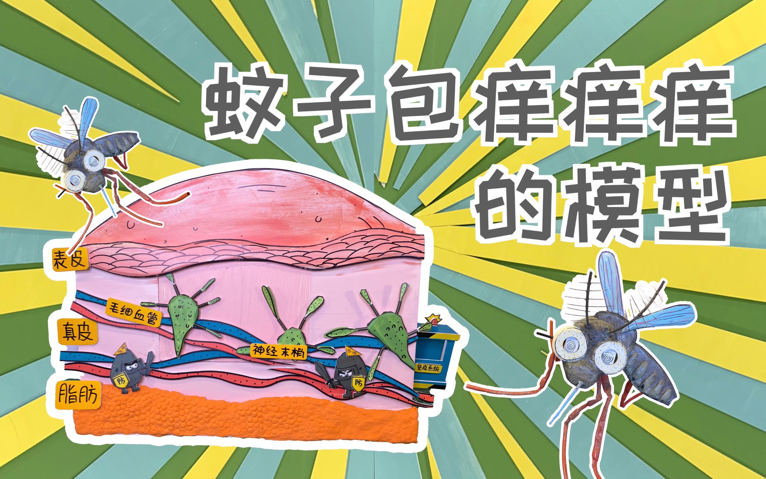 【模型师老原儿】蚊子叮的包为什么这么痒?