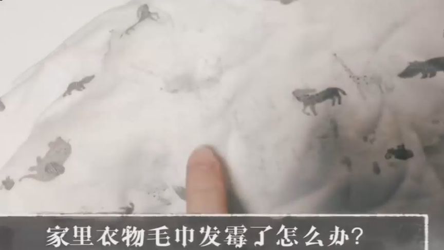 发霉衣物如何处理?用它泡一下,搓都不用搓就干净了