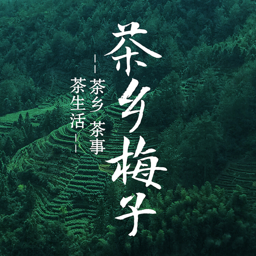 茶乡梅子 